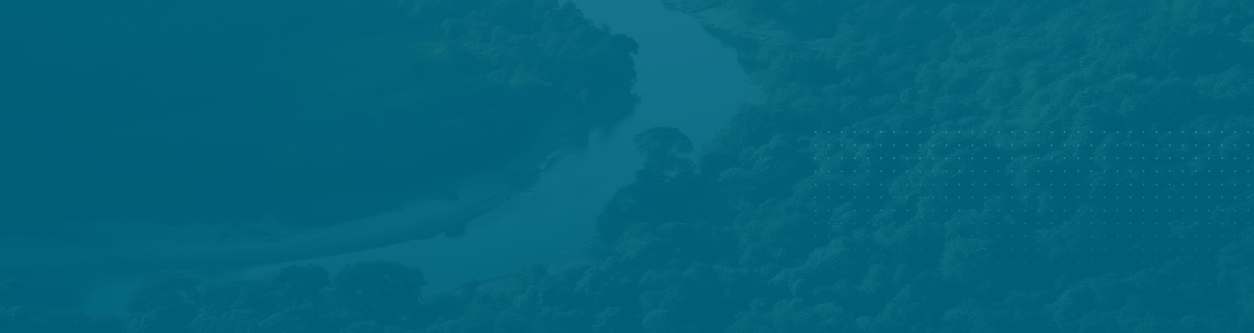 El Muls Detection Solutions Exosens